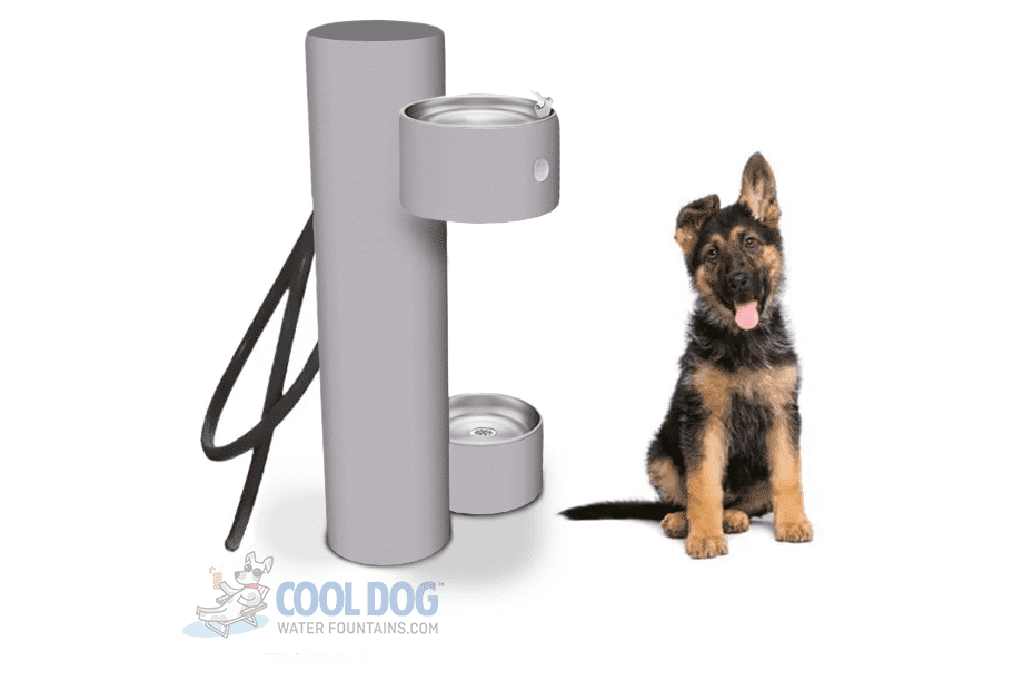 Dog Water Fountains | Pet Water Fountains | Dog Drinking Fountains
