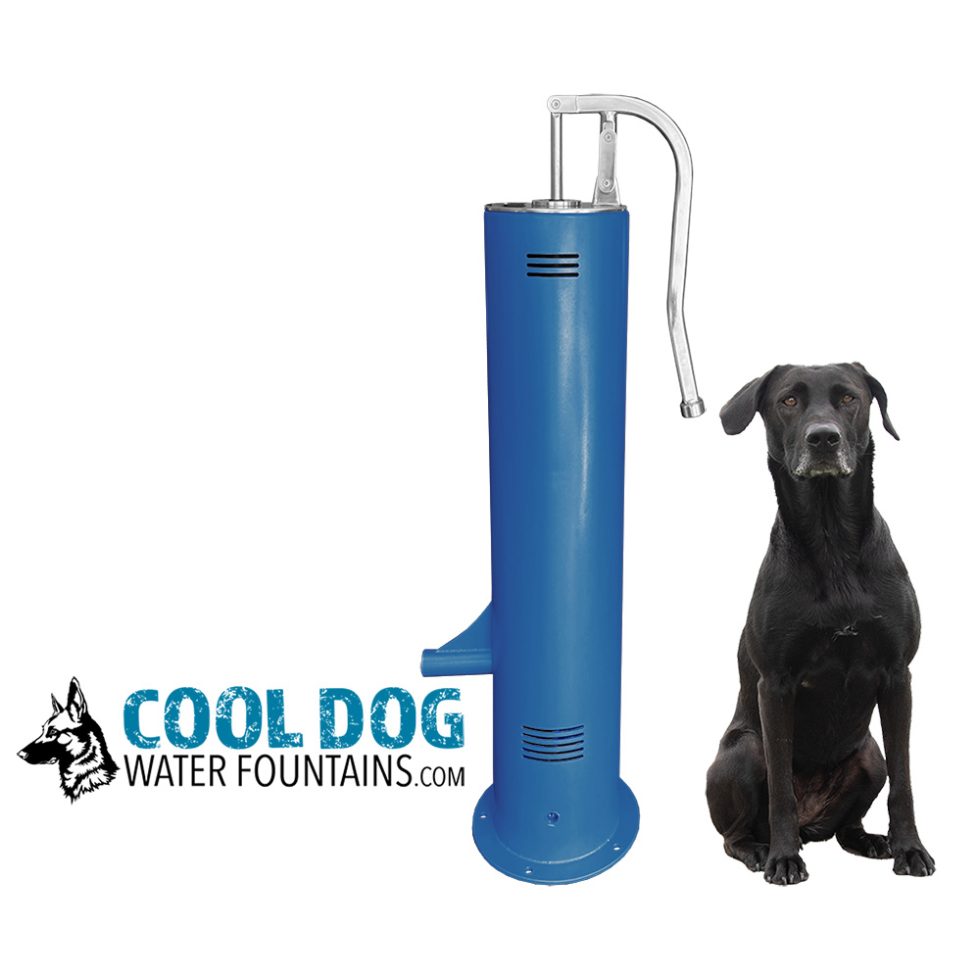 Hydrate Your Dog with Quality Water Fountains: Shop Now!