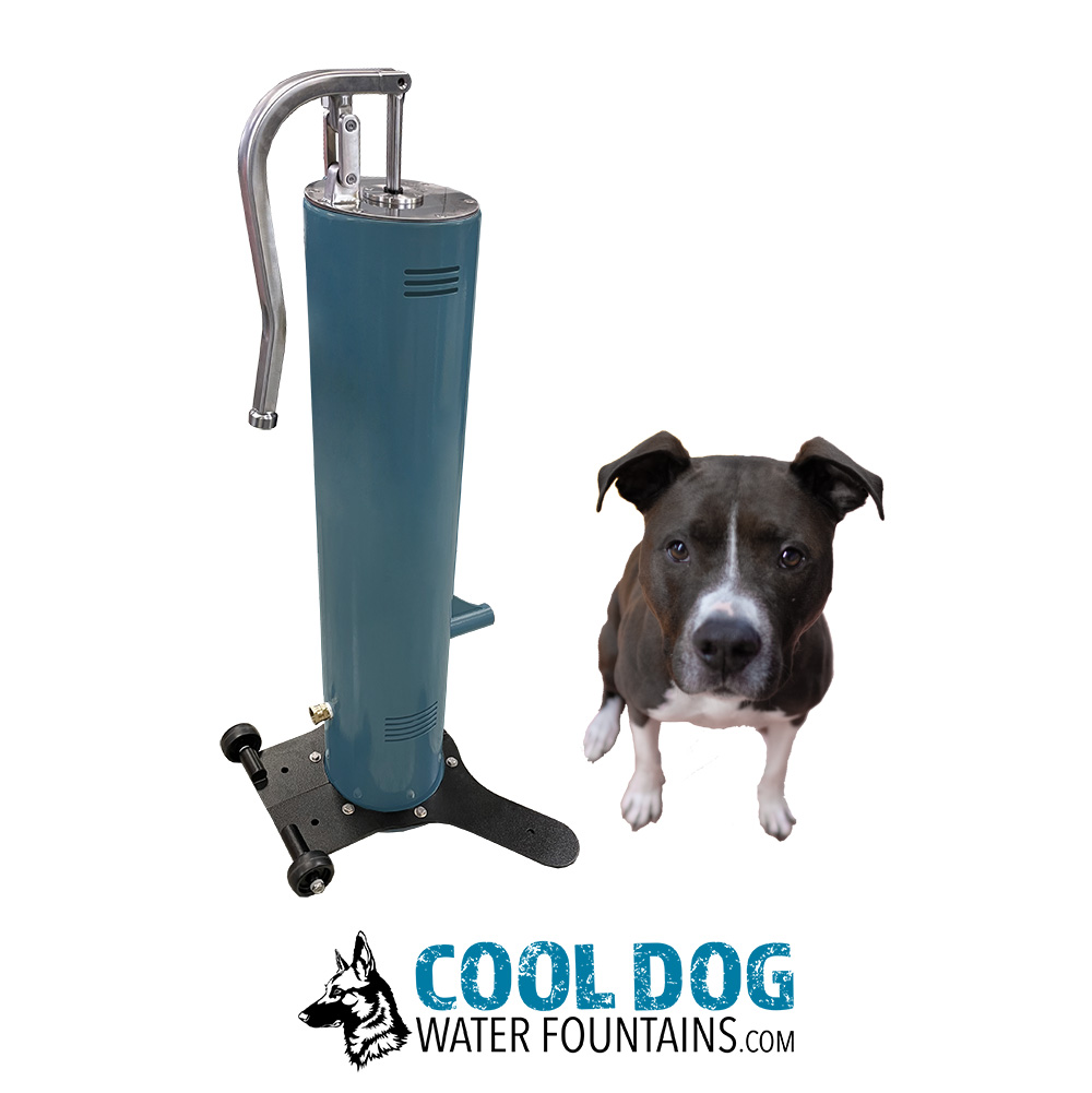 Hydrate Your Dog with Quality Water Fountains: Shop Now!