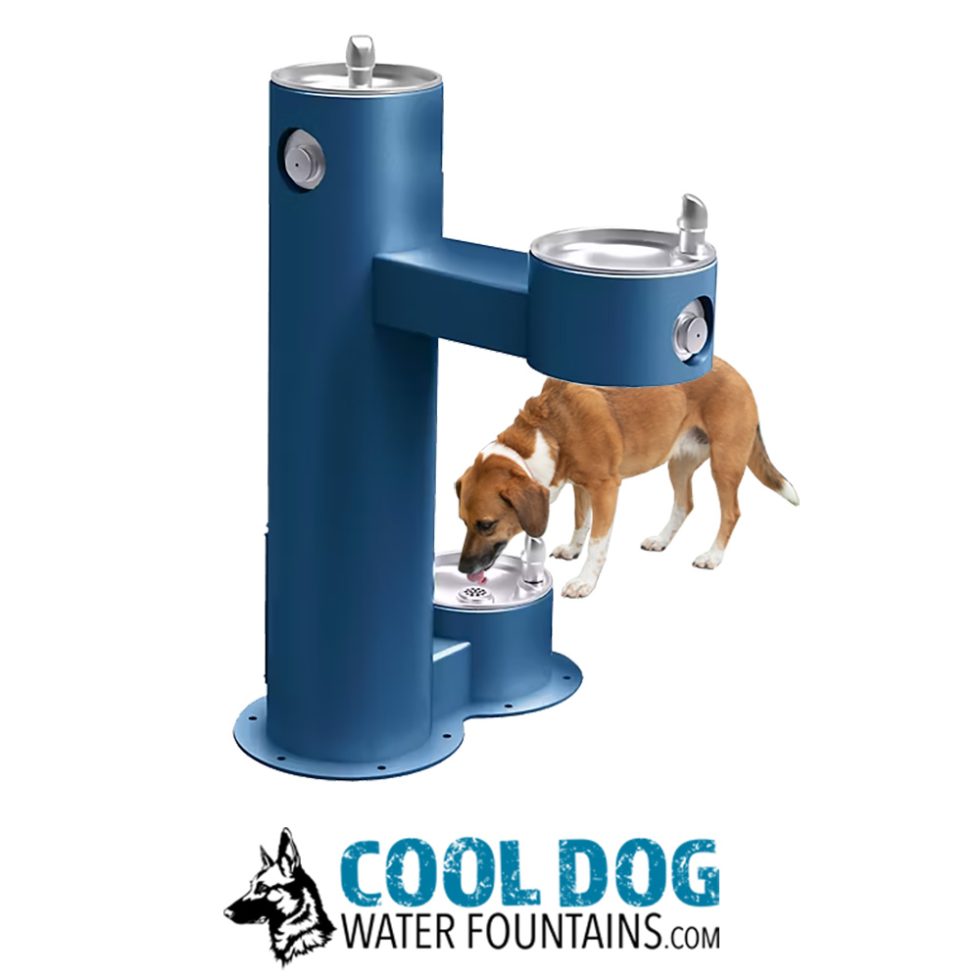 Hydrate Your Dog with Quality Water Fountains: Shop Now!